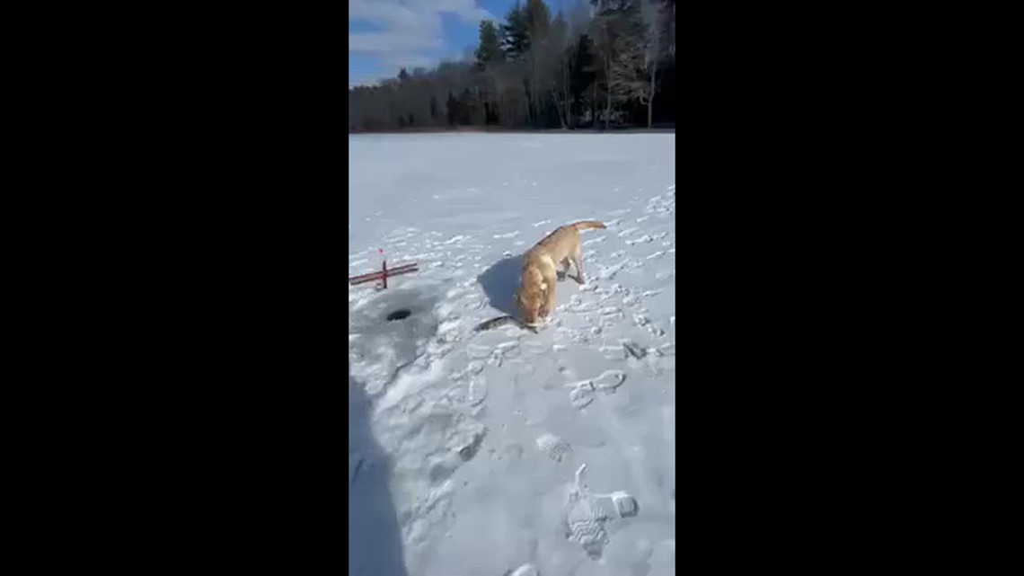First Fish Ever | newscentermaine.com
