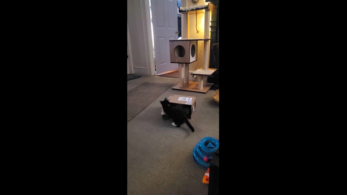 Box o fun | newscentermaine.com