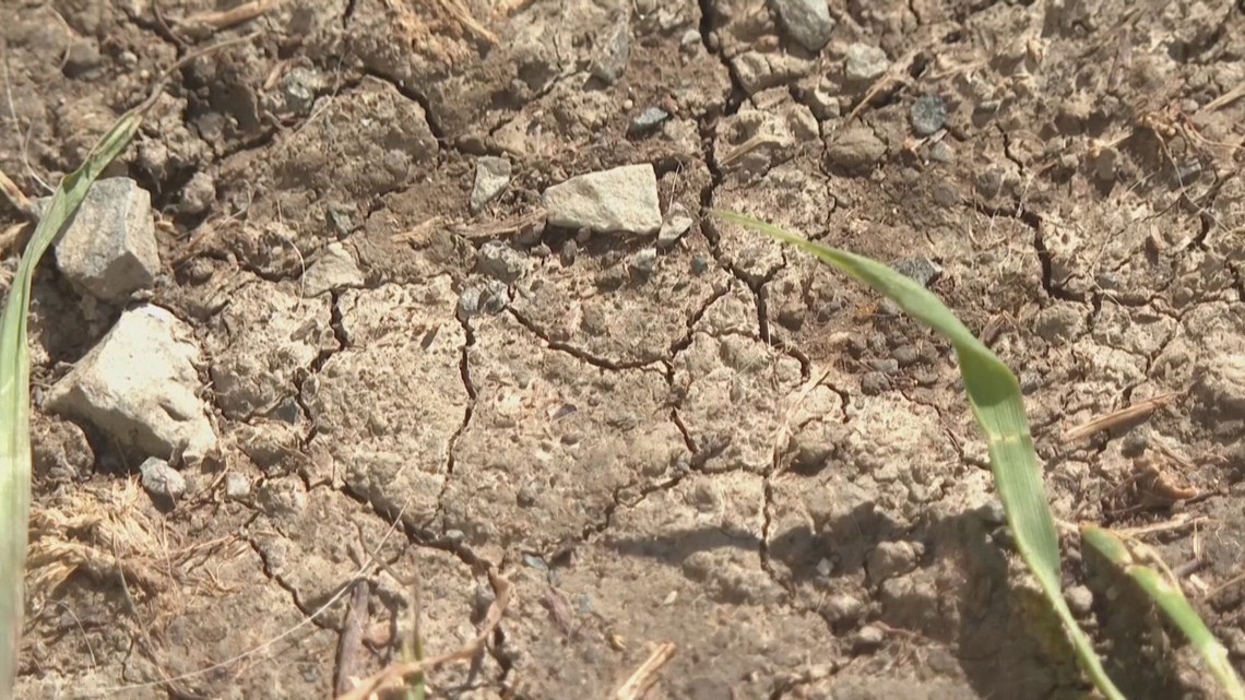 Human remains found in Merrimack River in New Hampshire | newscentermaine.com