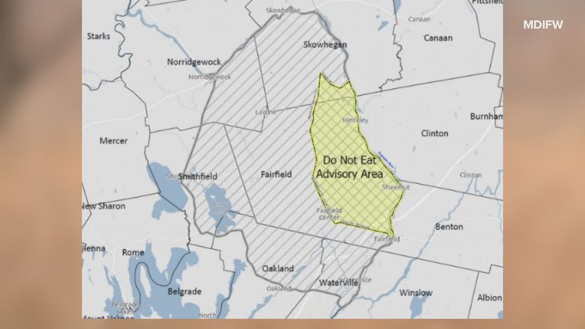 MDIFW reduces size of PFAS 'Do Not Eat' advisory area in Fairfield ...
