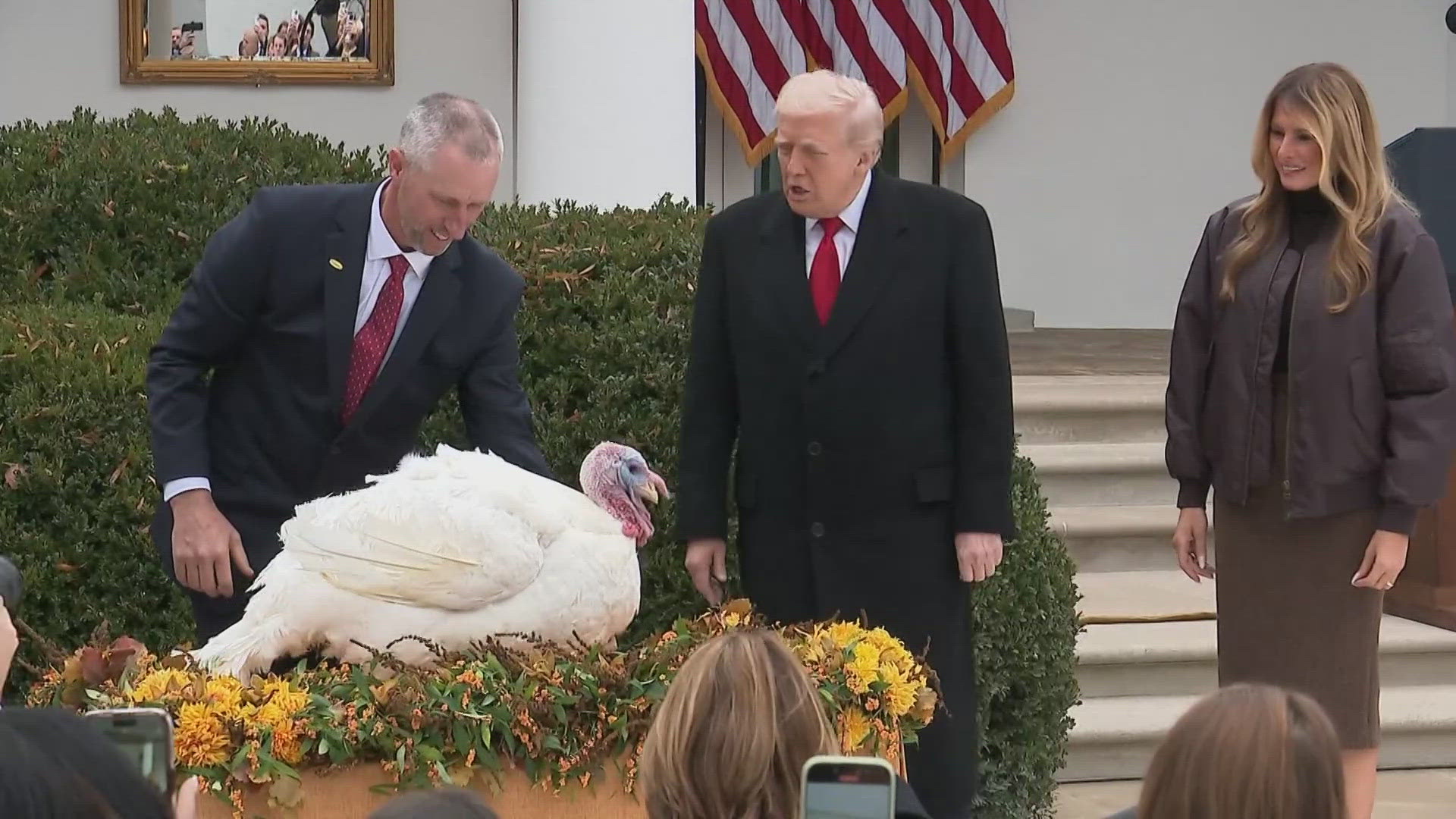 Trump to grant reprieve to 'Waddle' and 'Gobble' in pre-Thanksgiving ...