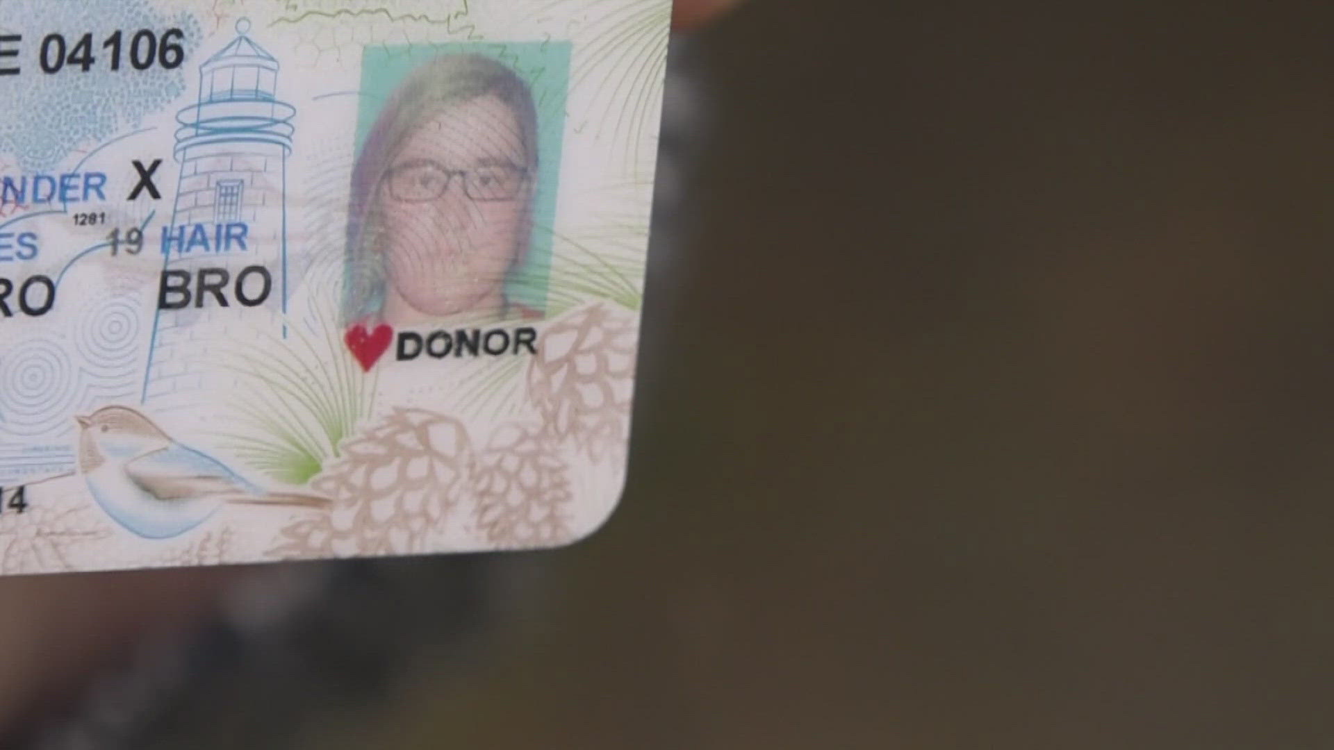 Maine officials issue guidance for gender designations on driver's ...