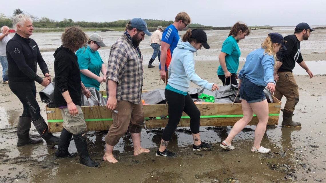 700-year-old dugout canoe found in Maine | newscentermaine.com
