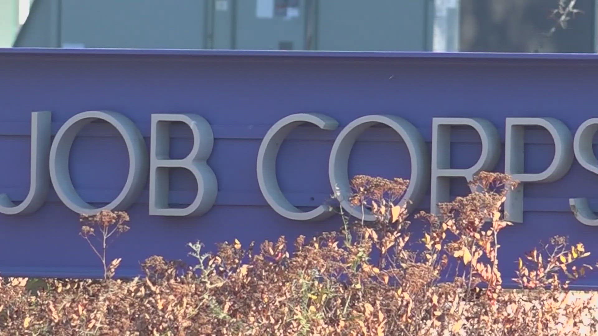 Bruce Willis' daughter Rumer Willis shares update amid her dad's dementia battle ...