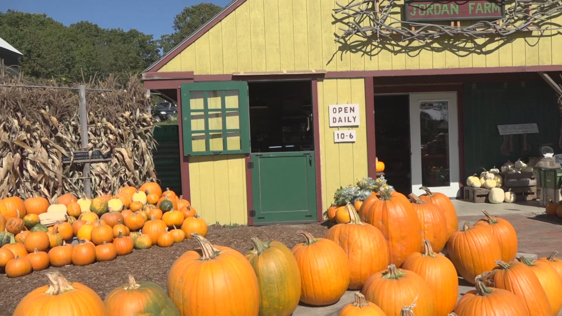 New minimum wage will include farm workers | newscentermaine.com