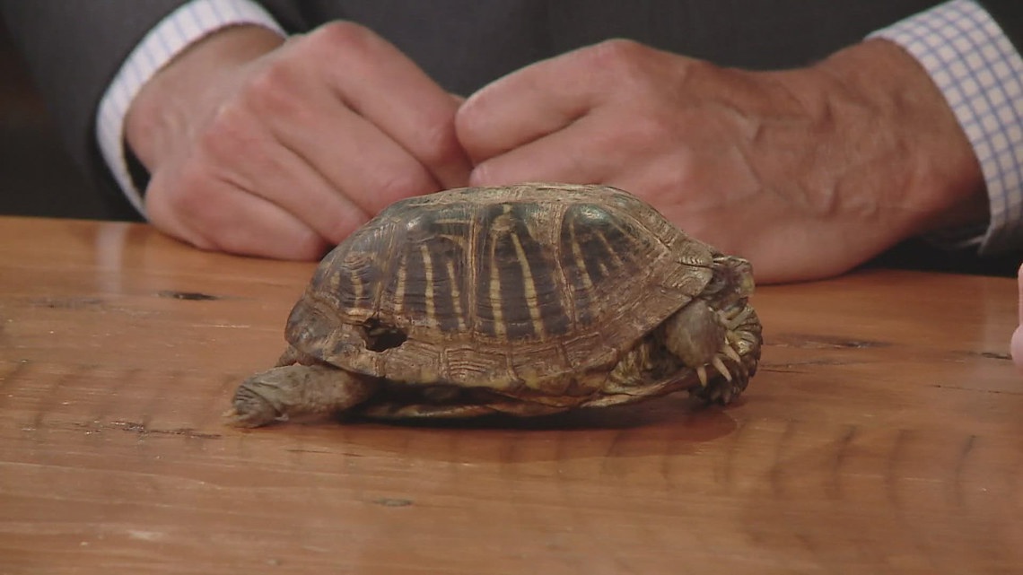 Mr. Drew visits 207 to talk box turtles, cockroaches, and more ...