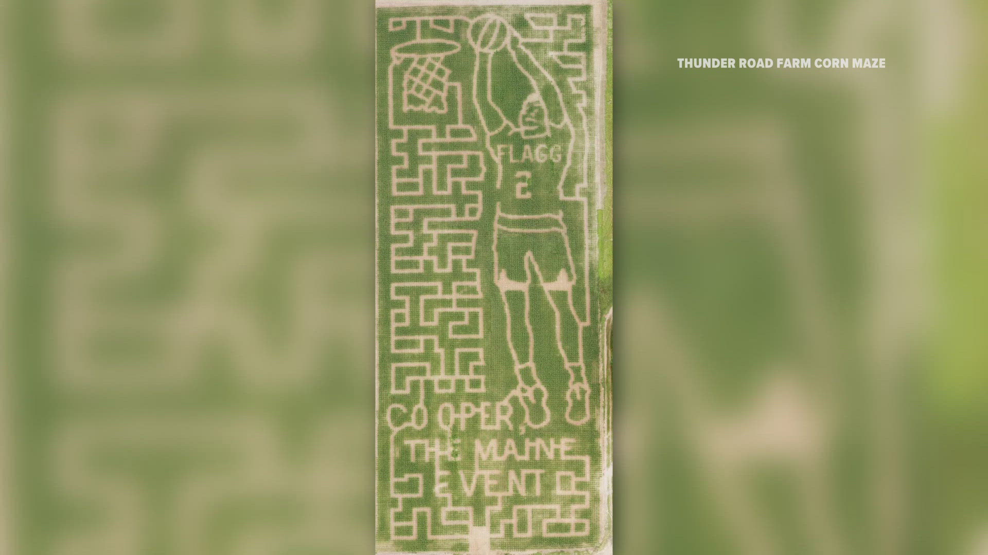 Cooper Flagg: Corinna farm designs corn maze after No. 1 NBA Draft pick ...