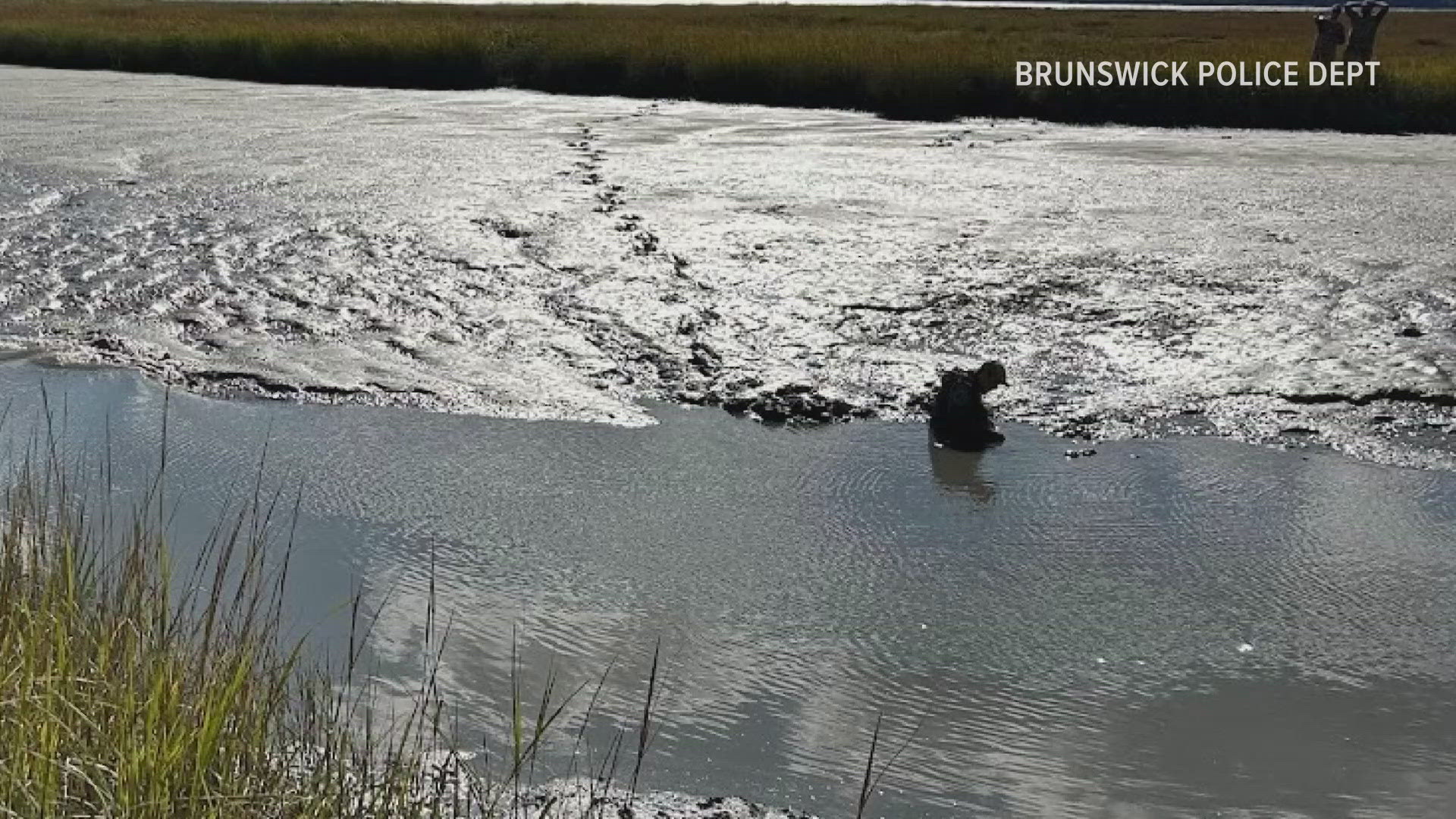 Duck hunter stuck waist-deep in mudflats pulled to safety off Wharton ...