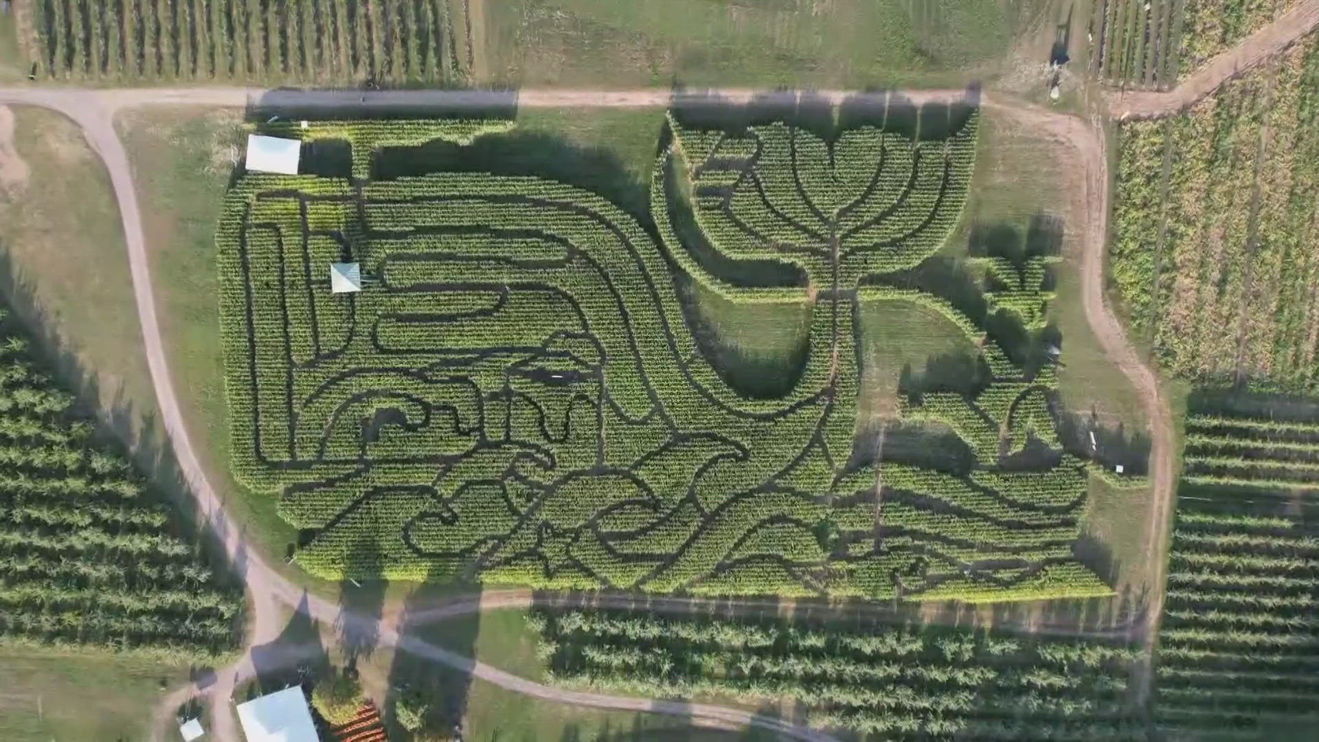 USA Today corn maze rankings names Maine farm best for fourth year in a ...