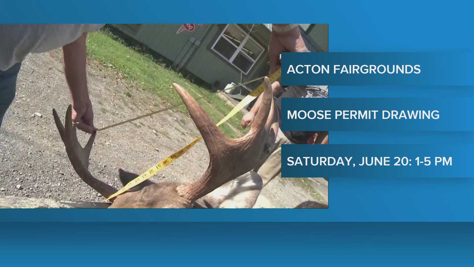 Details on moose lottery permit drawing | newscentermaine.com