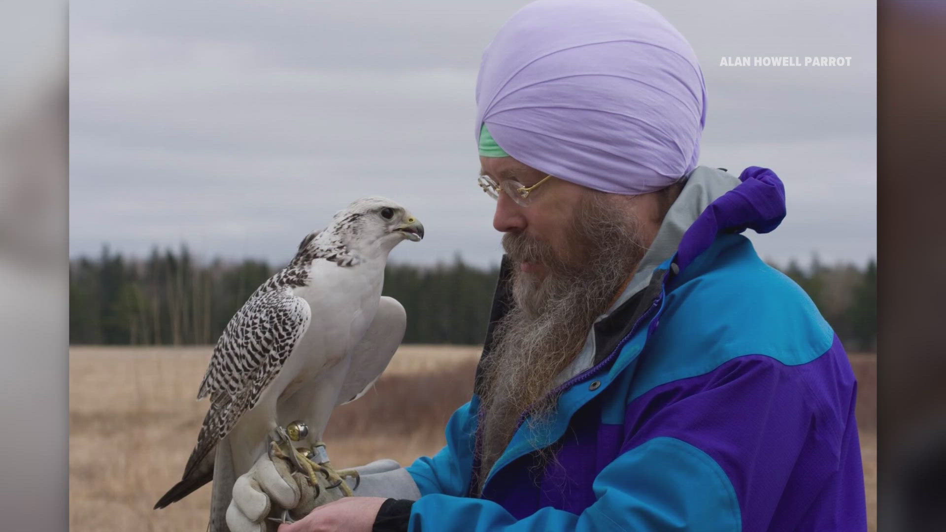 Hancock falconer sentenced for assaulting FBI agent | newscentermaine.com