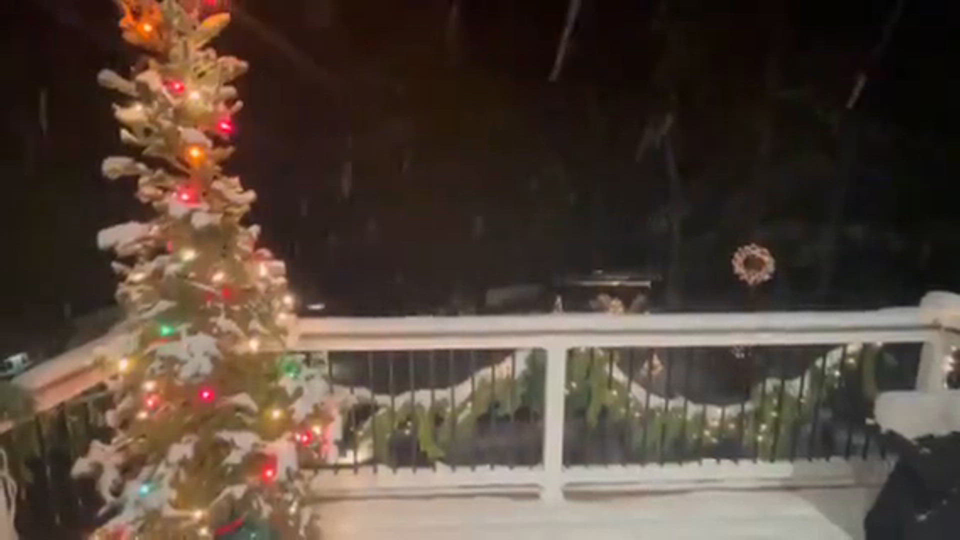 Yep, our outdoor tree is still up | newscentermaine.com