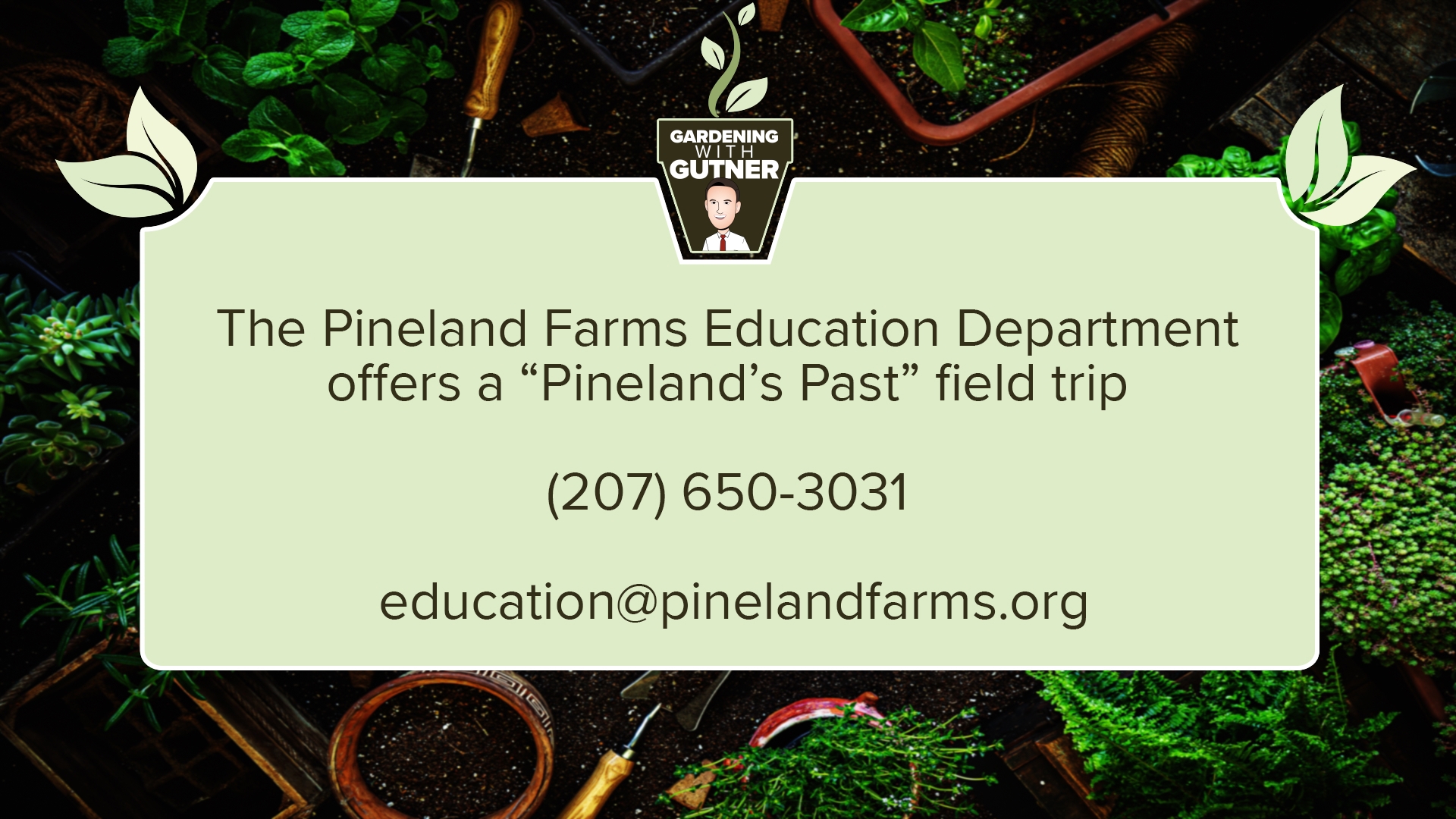 Discover the Gardens At Pineland Farms | newscentermaine.com