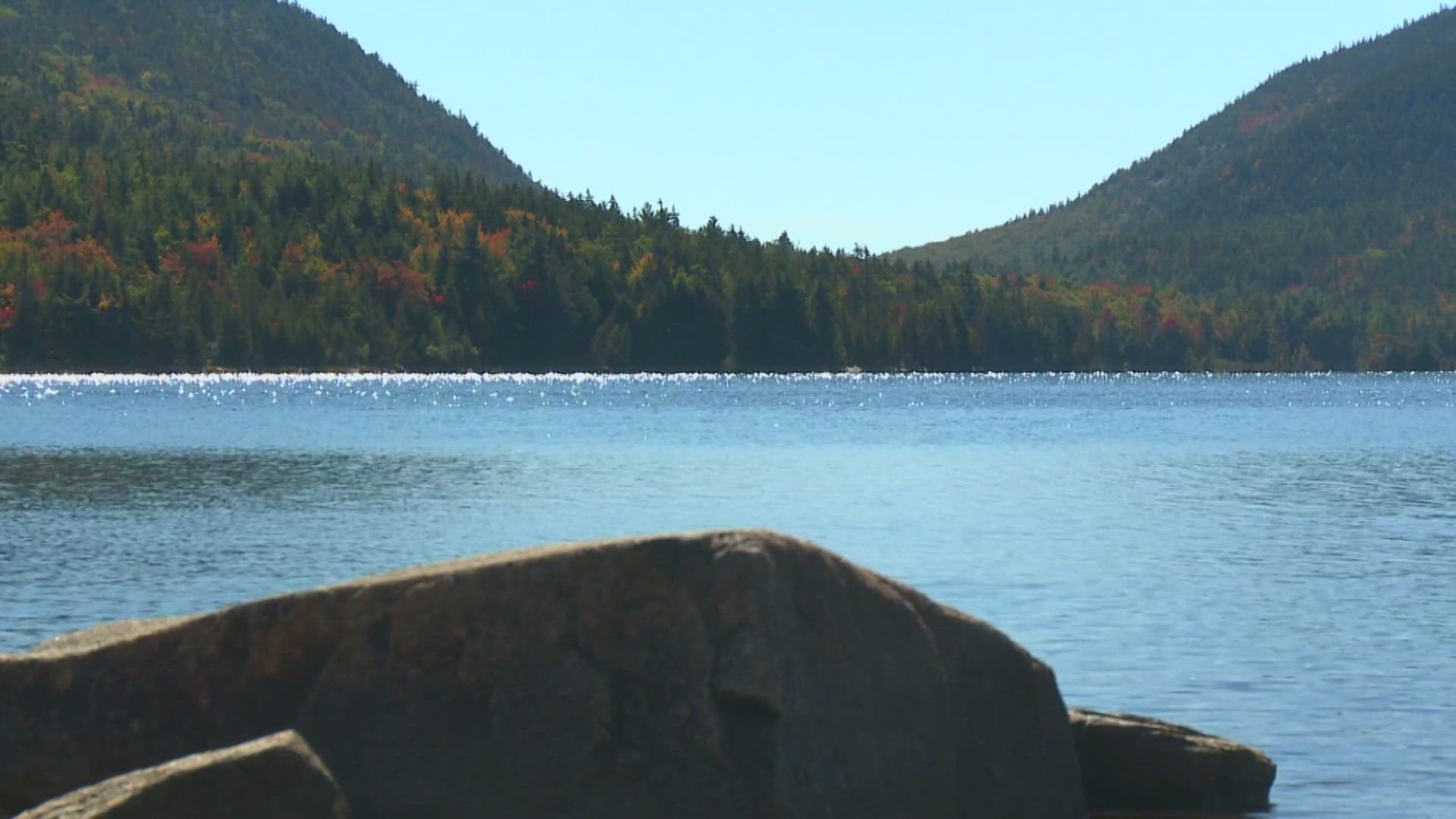Five Wabanaki tribes will be allowed to collect sweetgrass at Acadia ...