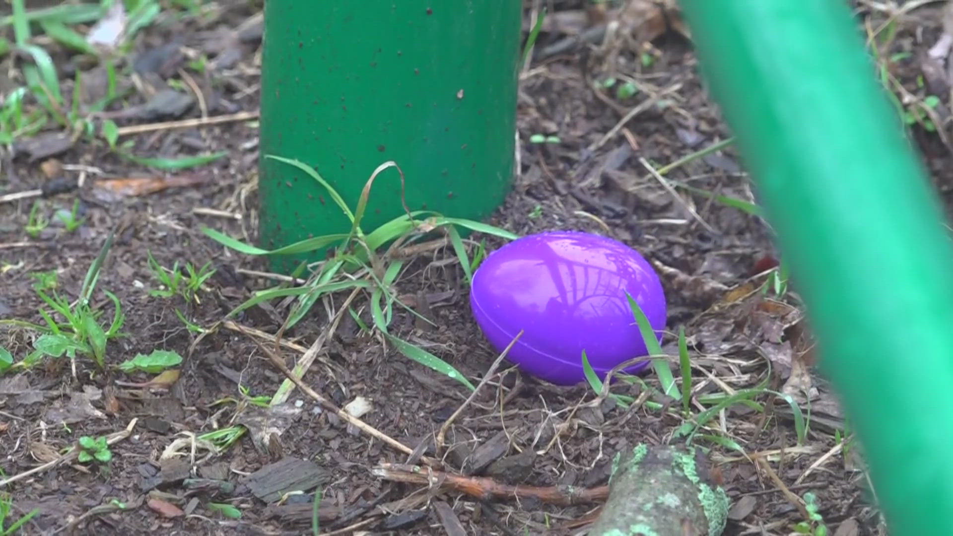 Racist 'propaganda' found in Easter eggs at Bangor playground, locals ...