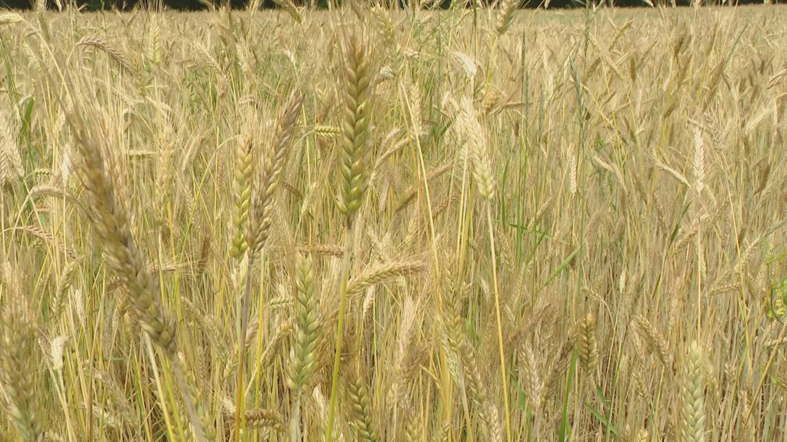 Farmers organization forced to lay off staff after federal funding loss ...