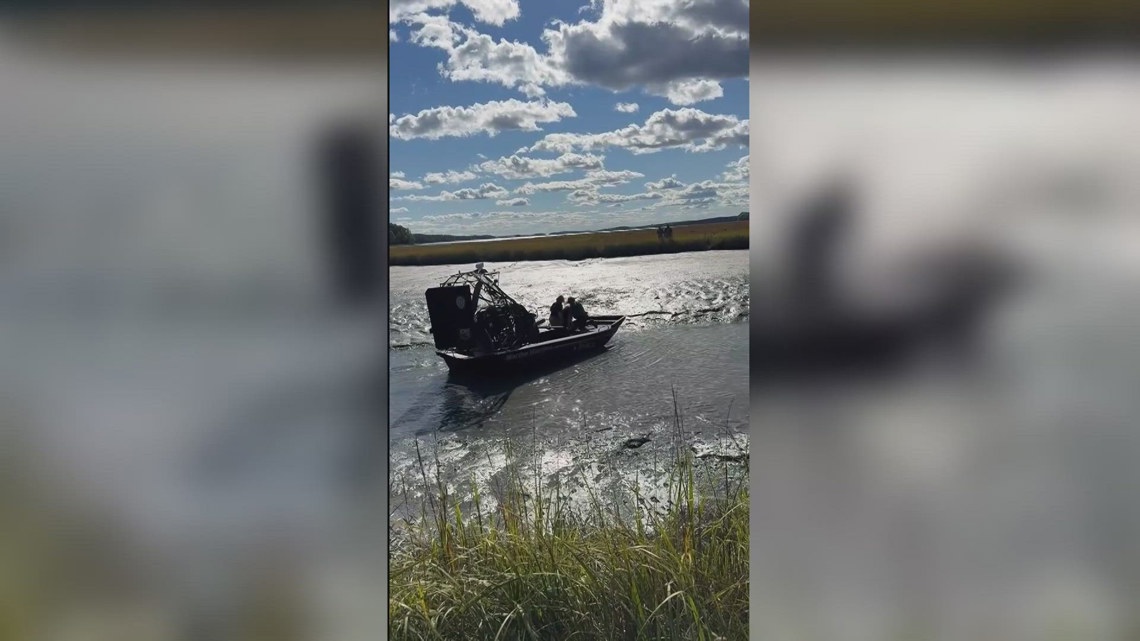 Hunter stuck waist-deep in Brunswick mudflats pulled to safety ...