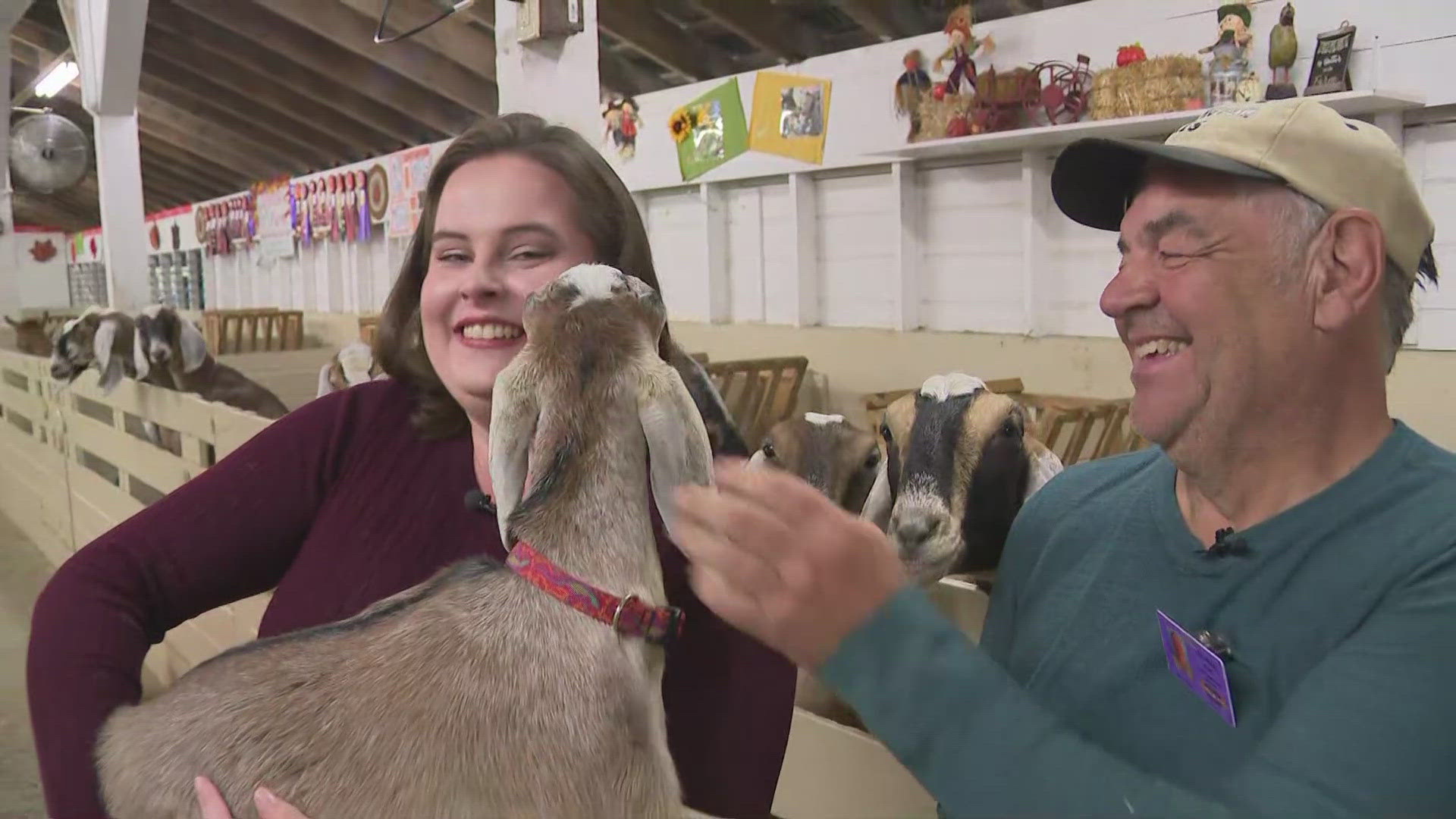 Fryeburg Fair: Maine's largest agricultural fair runs Sept. 27-Oct. 5 ...