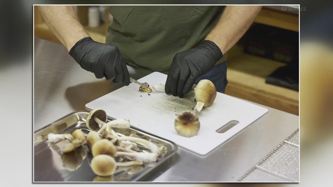 Portland deprioritizes prosecution for some psychedelic drugs ...