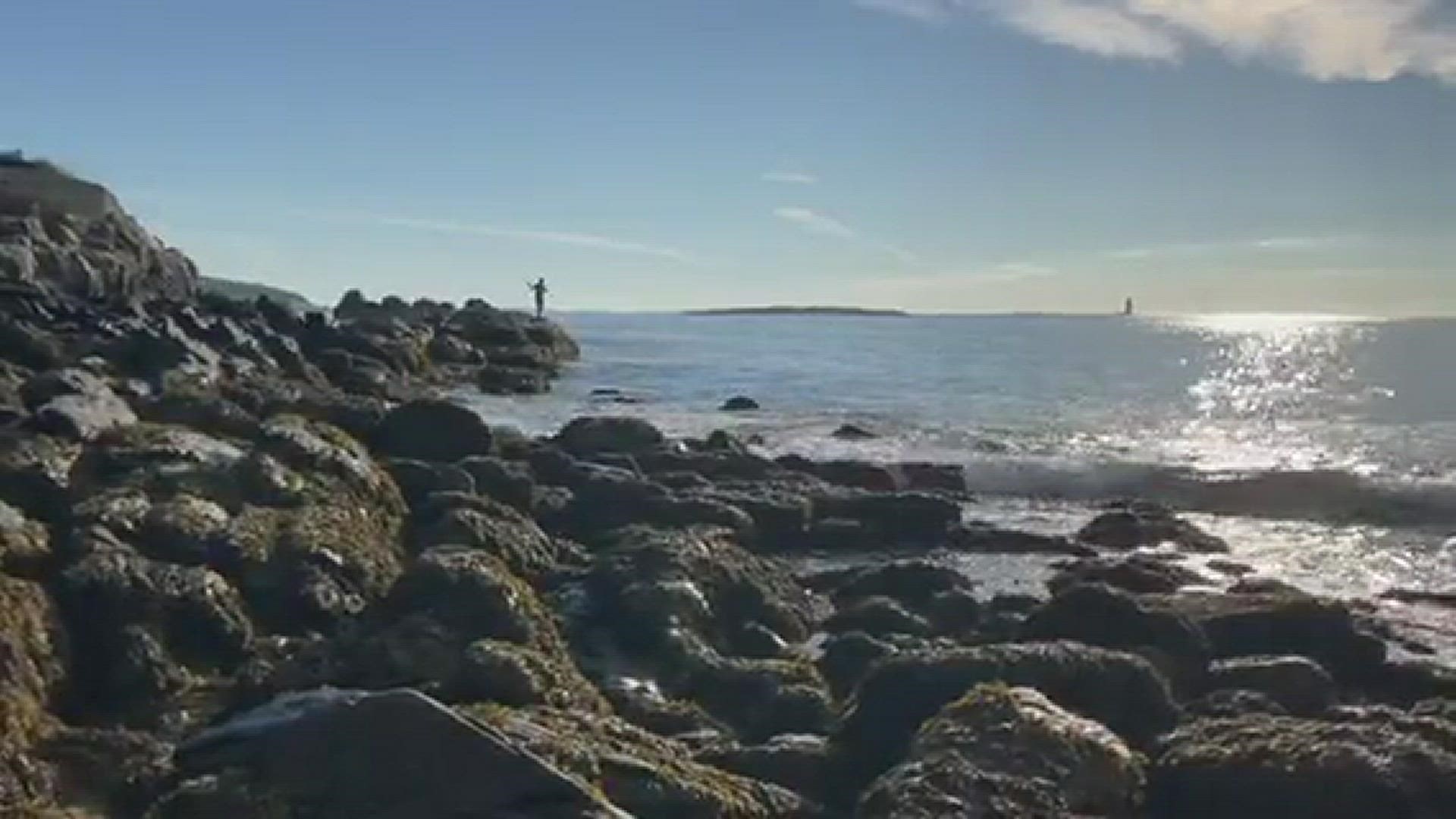 Founder of Quirk Auto Group ordered to pay 43 years of spousal support ...