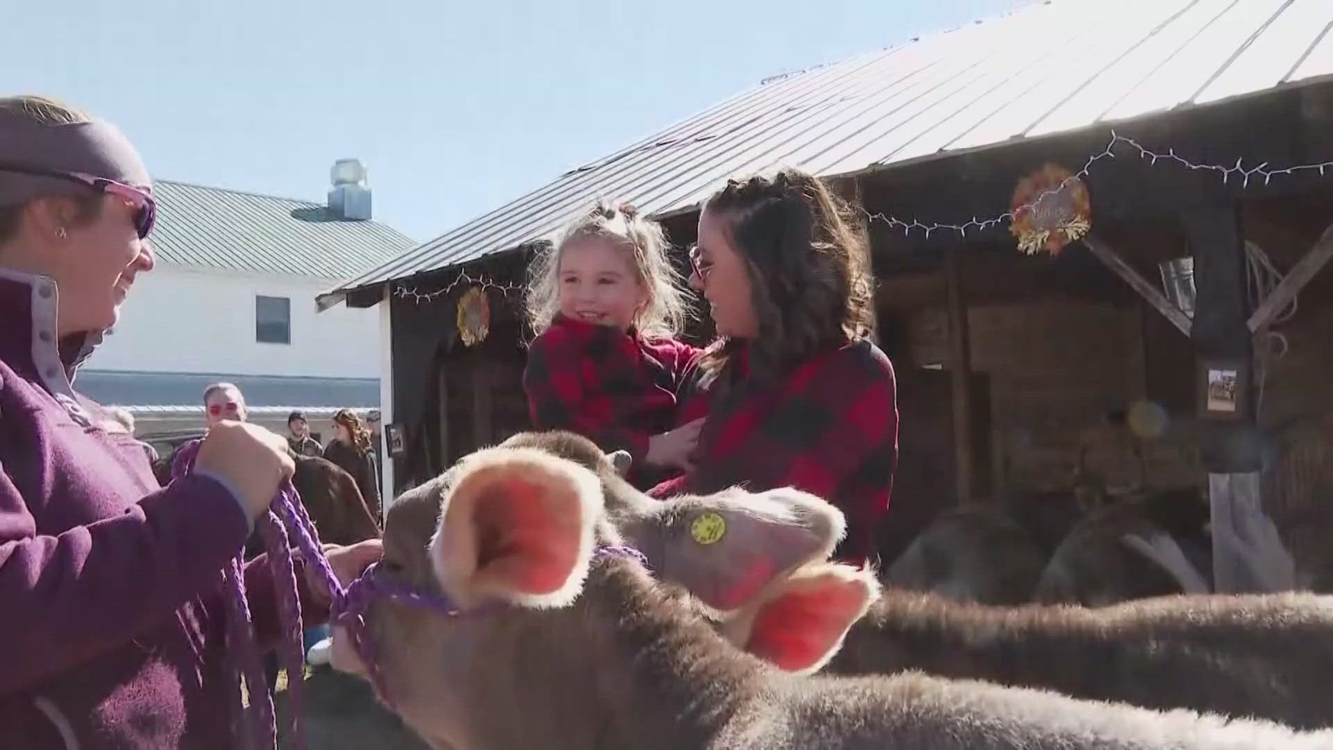 Fryeburg Fair's early start sparks dispute with Cumberland Fair ...