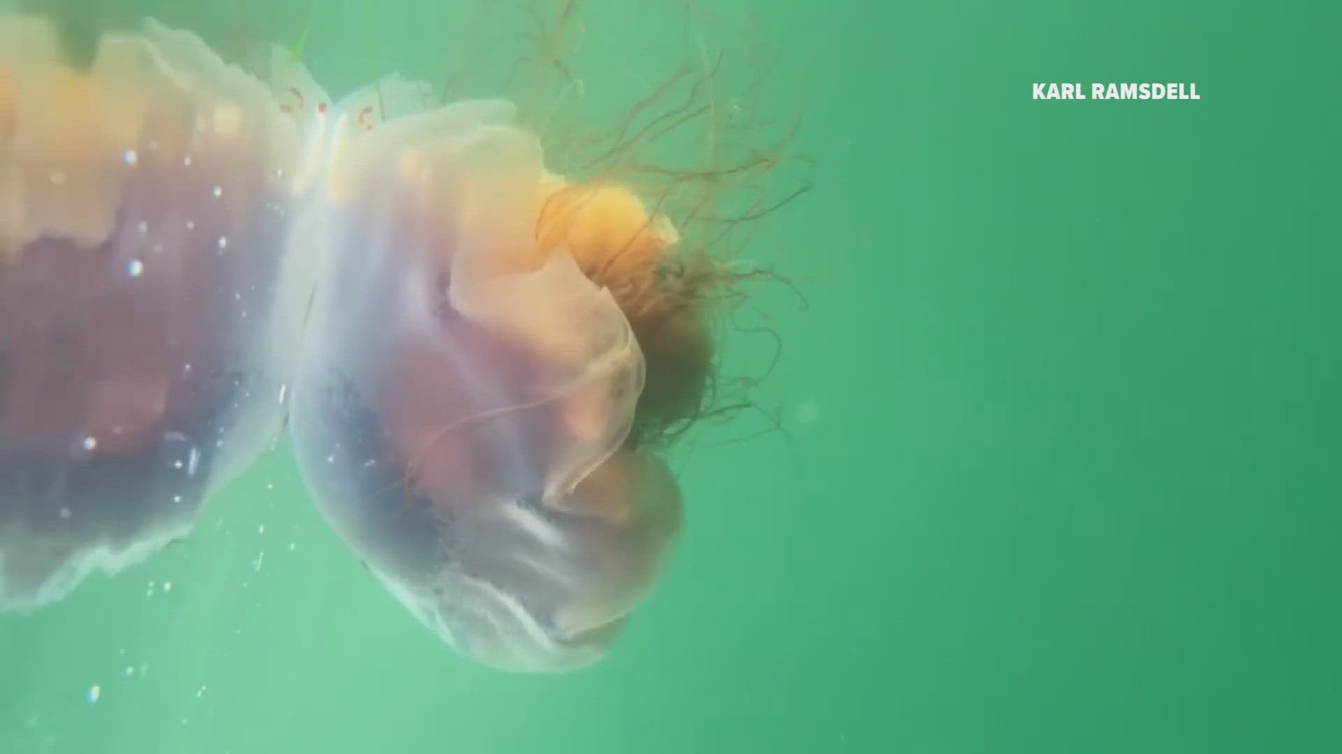 Boston Harbor: Fishing boat capsizes, 3 rescued | newscentermaine.com