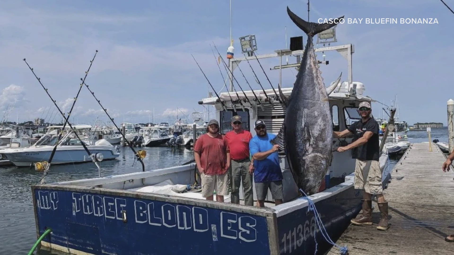 Casco Bay Bluefin Bonanza winners reel in 756-pound fish ...
