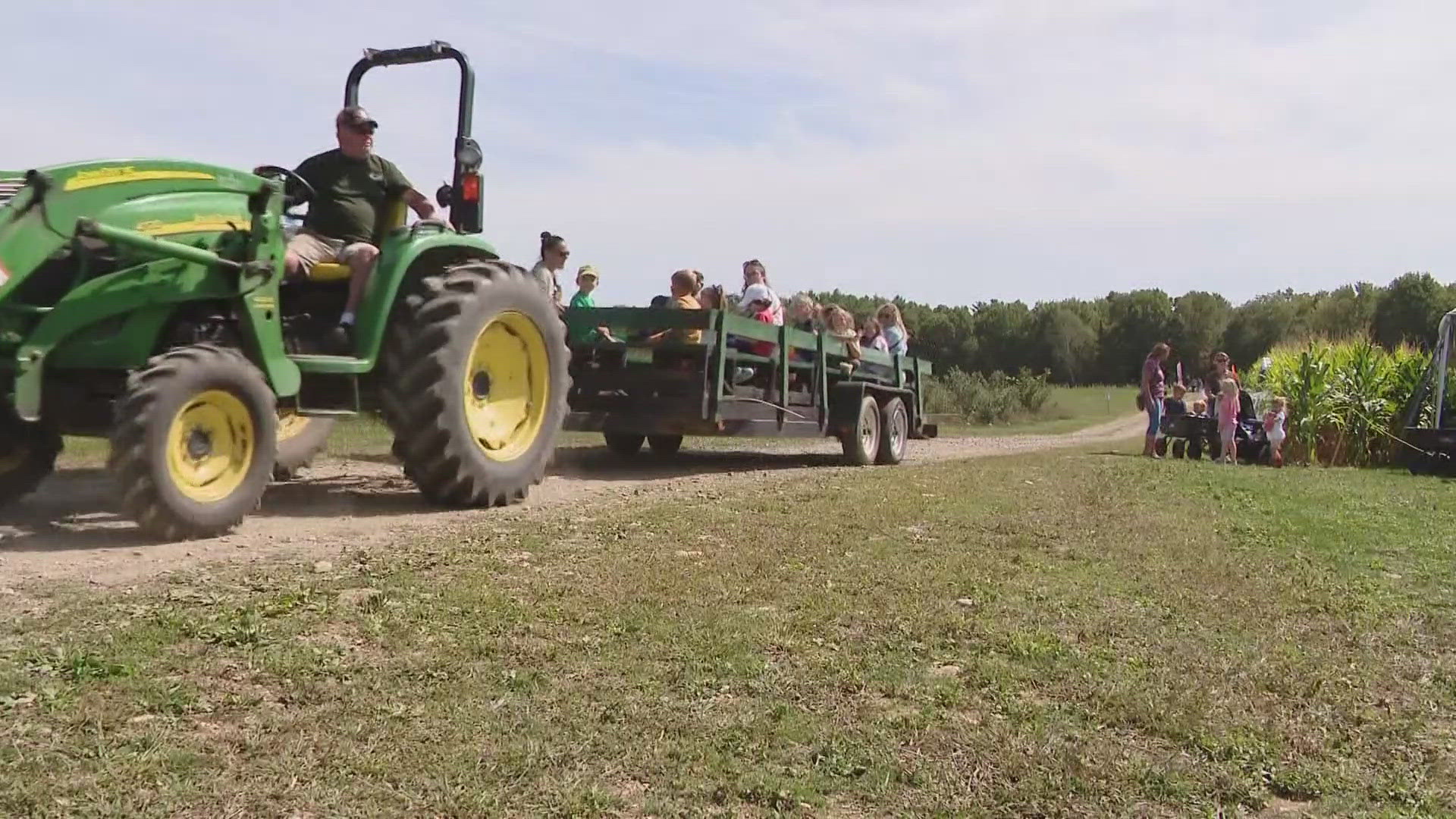 Treworgy Family Orchards finds corn maze success as the business ...