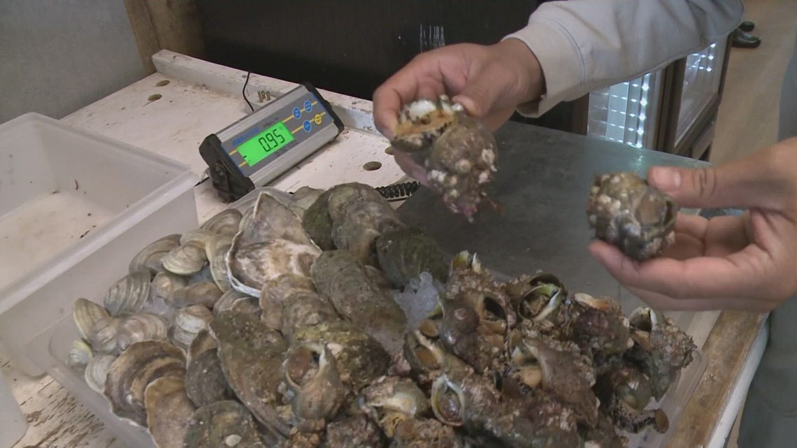 Seafood report shows key shellfish consumers include Maine's Vietnamese ...