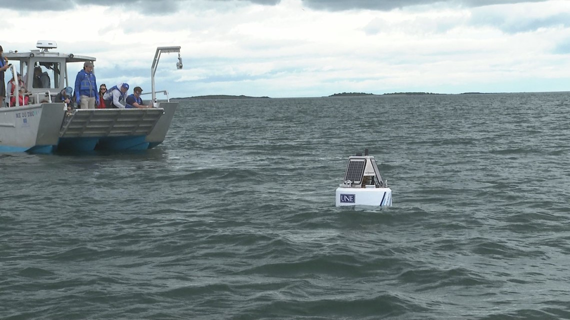 UNE researchers deploy shark buoy | newscentermaine.com