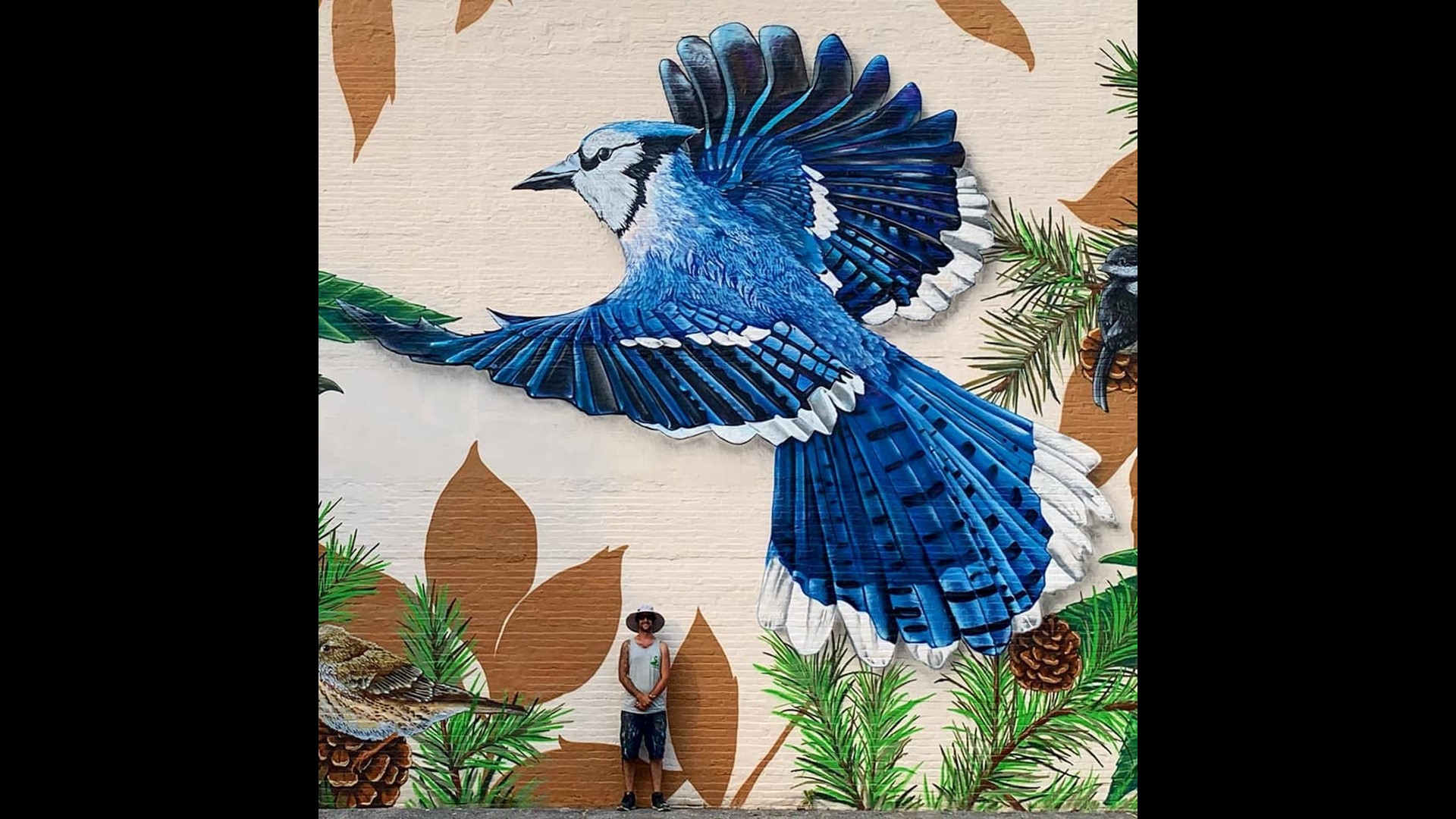 'The Color Wizard' adds pops of color across Maine | newscentermaine.com