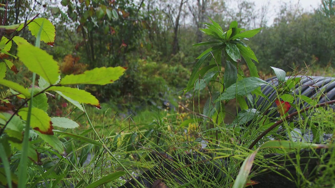 Maine leaders react after Congress proposes $2.1B in EPA cuts ...