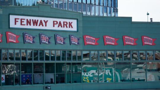 Bangor cats are going missing from Fairmount neighborhood ...