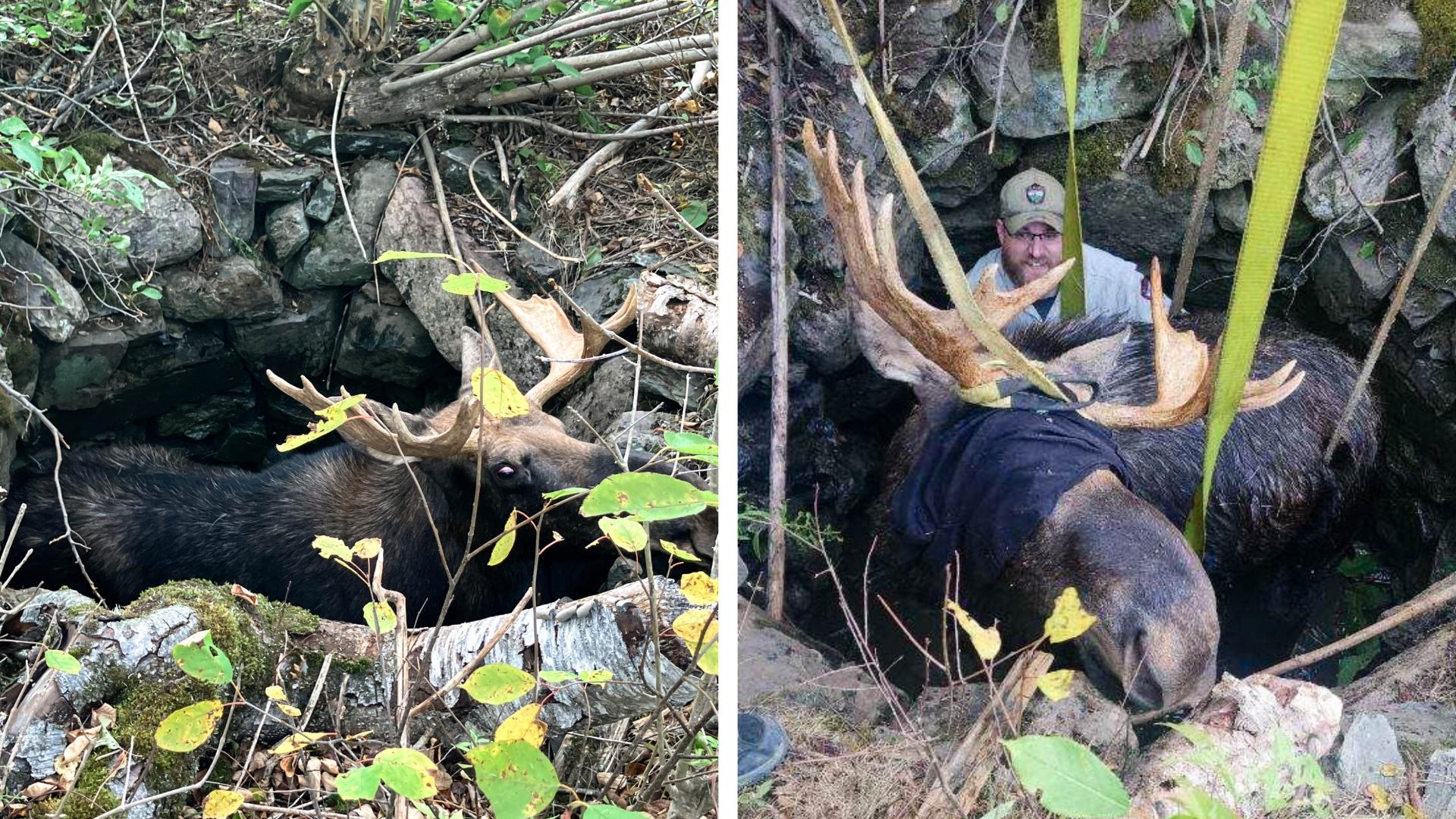 Myler Makes It | newscentermaine.com