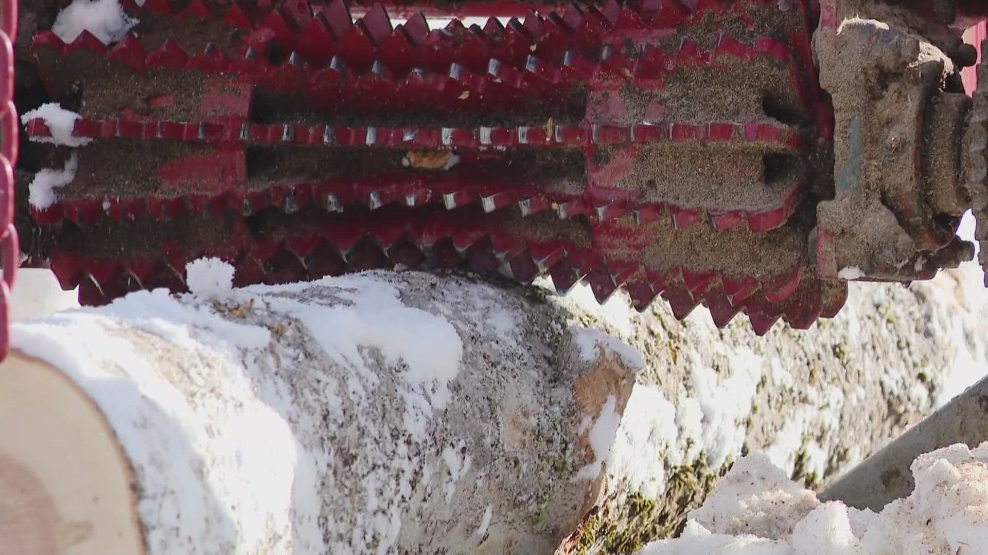 Don't miss Costco's holiday promotion: Get a $40 Digital Costco Shop ...