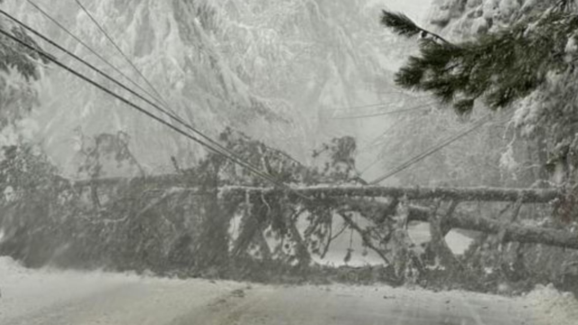 Central Maine Power, Versant Power responding to Maine outages ...