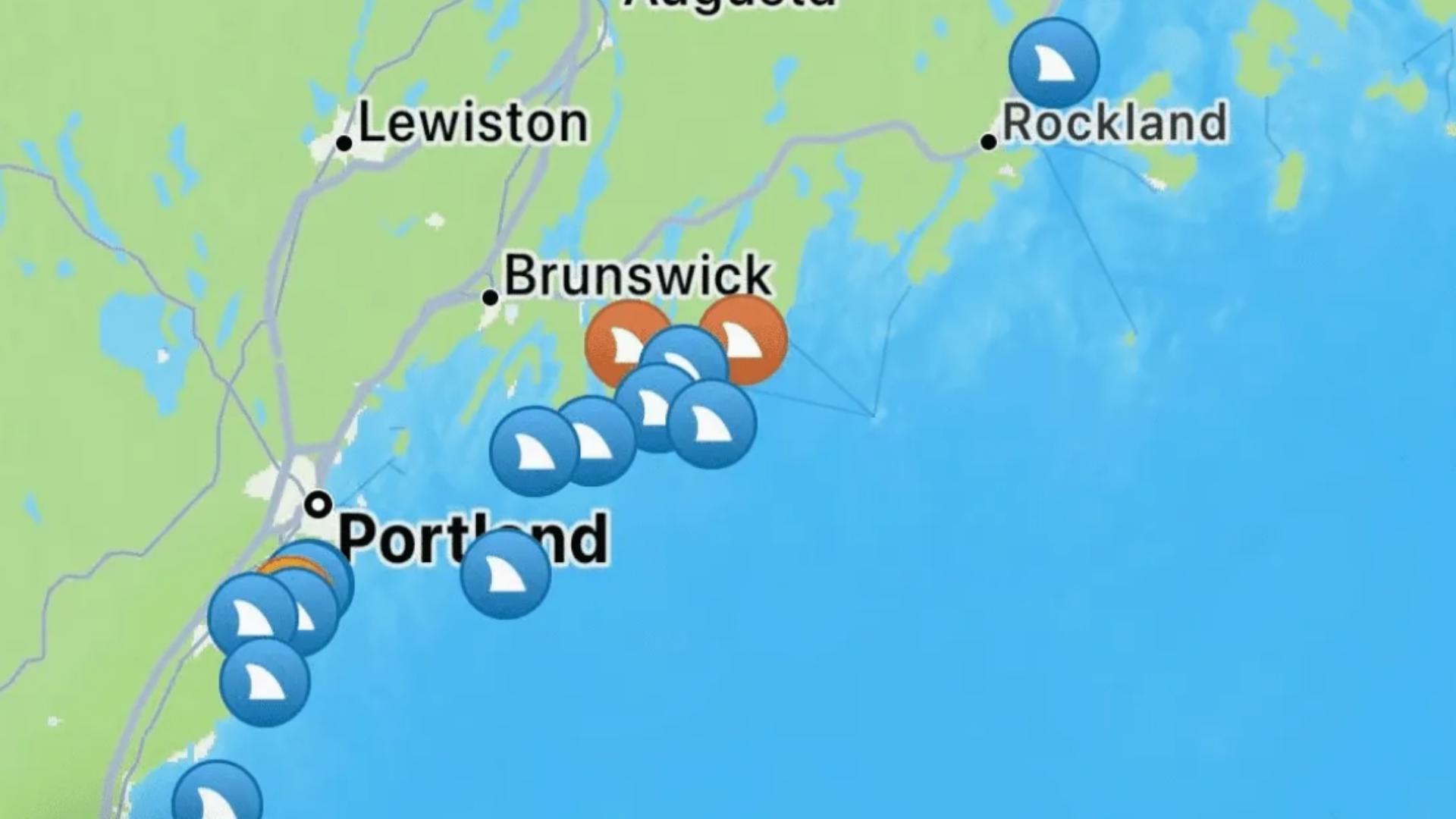 Should Mainers be concerned by recent shark sightings ...