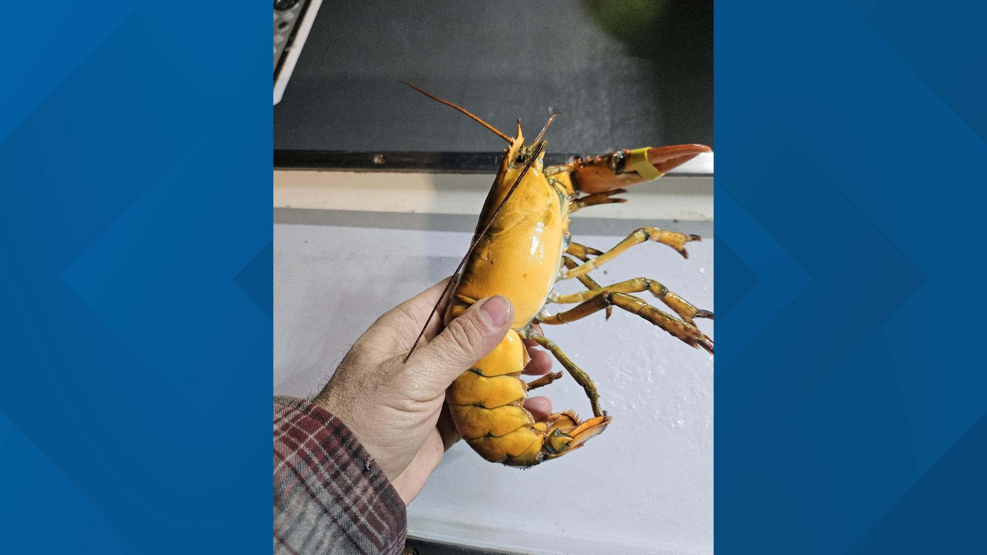 Military to Farming: Boots 2 Bushels trains veterans to farm ...