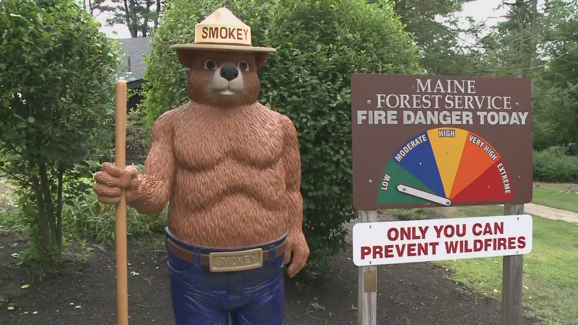 19 original paintings of Smokey Bear to go on display for Wildfire ...