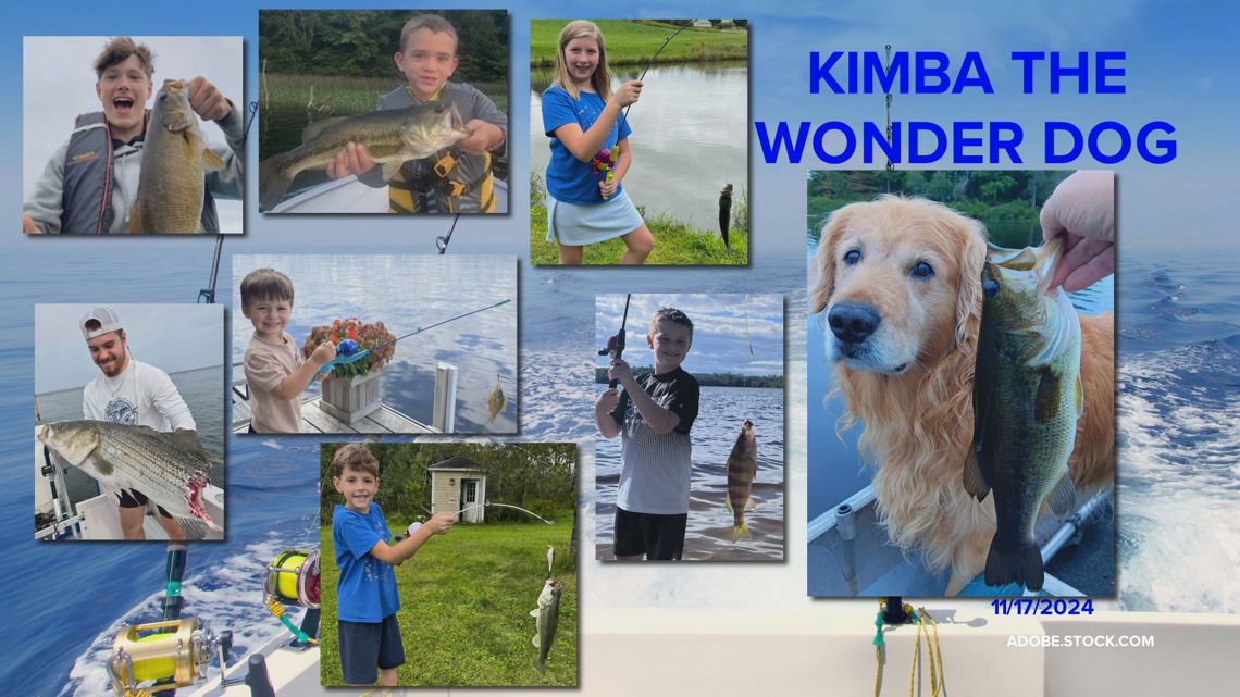 Big Ol' Fish: Kimba the Wonder Dog | newscentermaine.com
