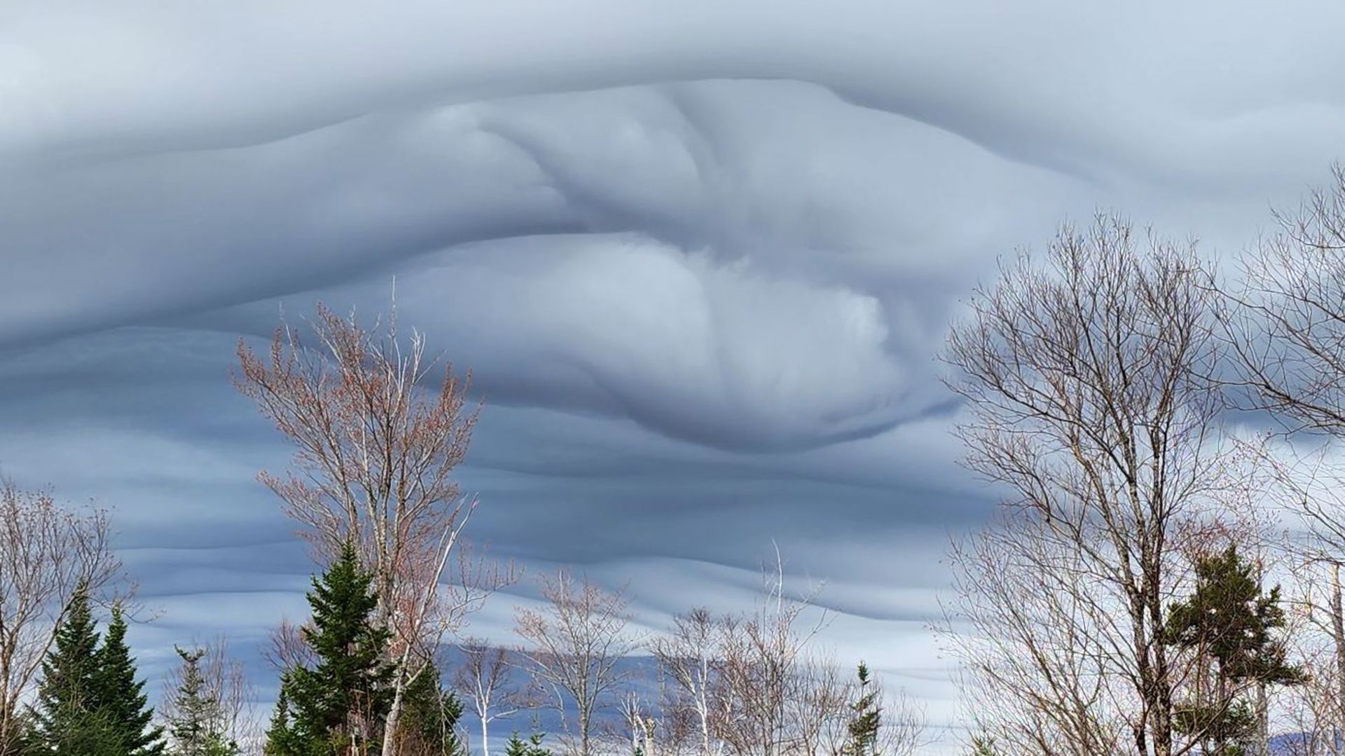 Undulatus asperatus clouds seen over Maine during stormy day ...