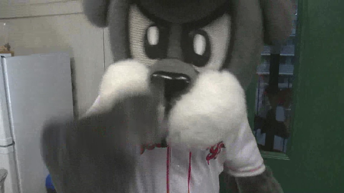 Slugger the Sea Dog is ready to welcome fans back to Hadlock Field in ...