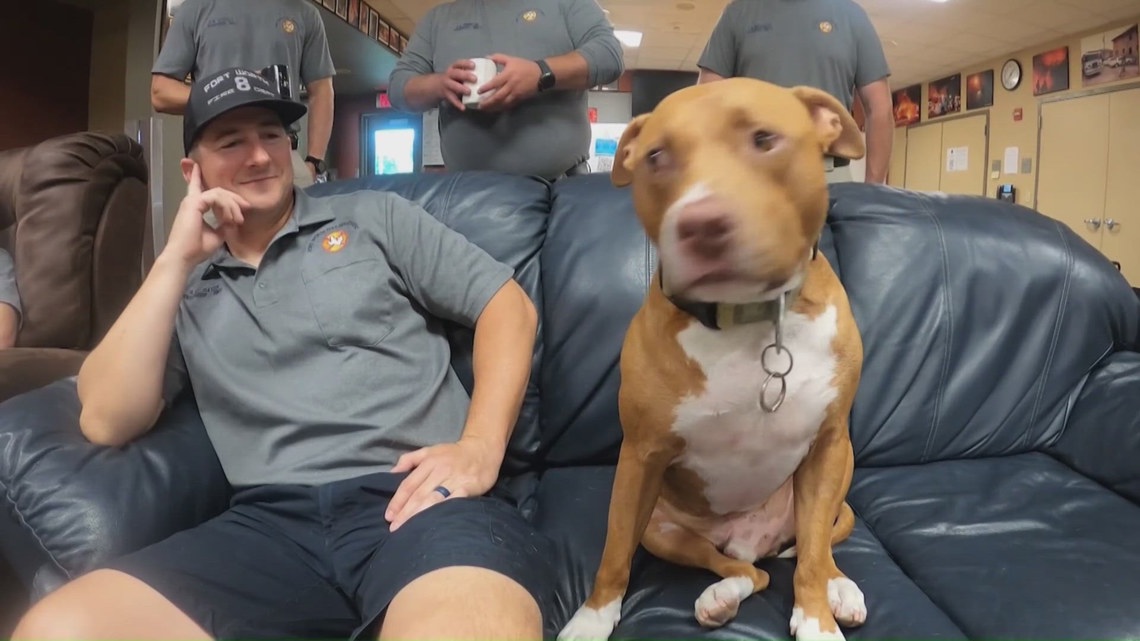 Homeless Texas veteran, dog find new homes after fire station visit ...