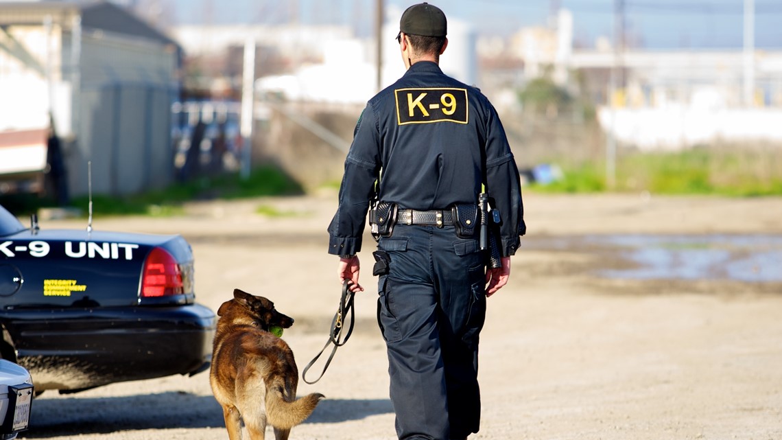 Footage shows ME police K-9 attack that led to $325K settlement ...