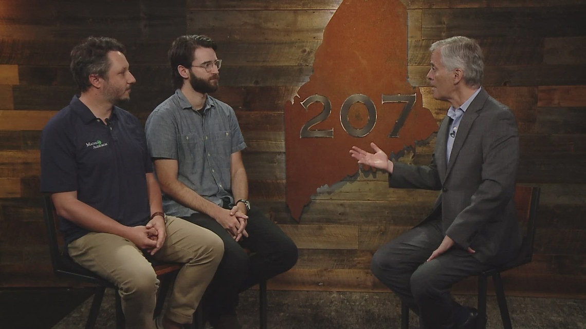 Group works to prevent fatal bird strikes into windows ...