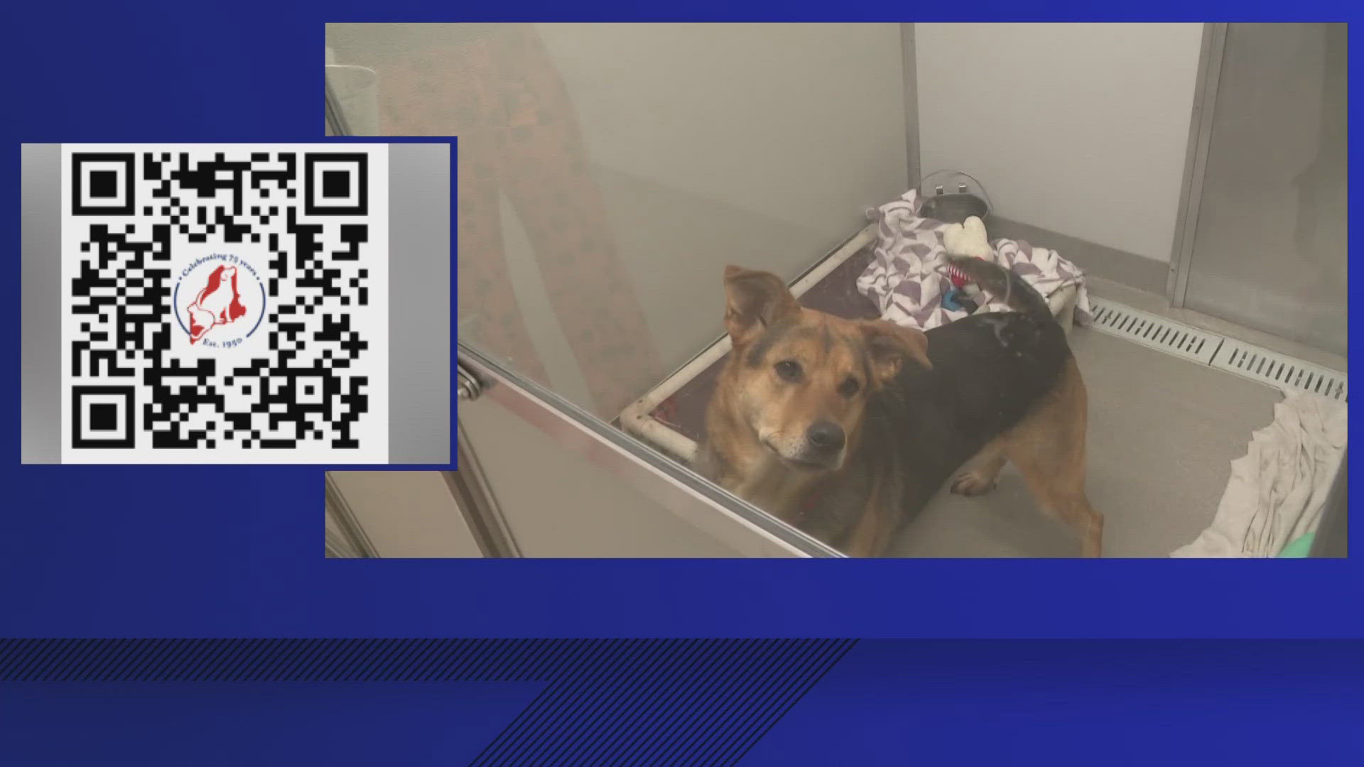 Welcome to the new WLBZ2.com | newscentermaine.com