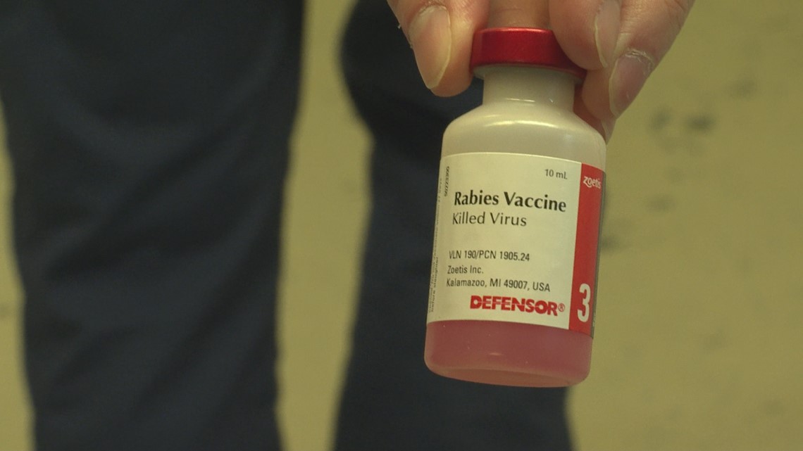 Midcoast Human Society to offer rabies vaccine clinic | newscentermaine.com
