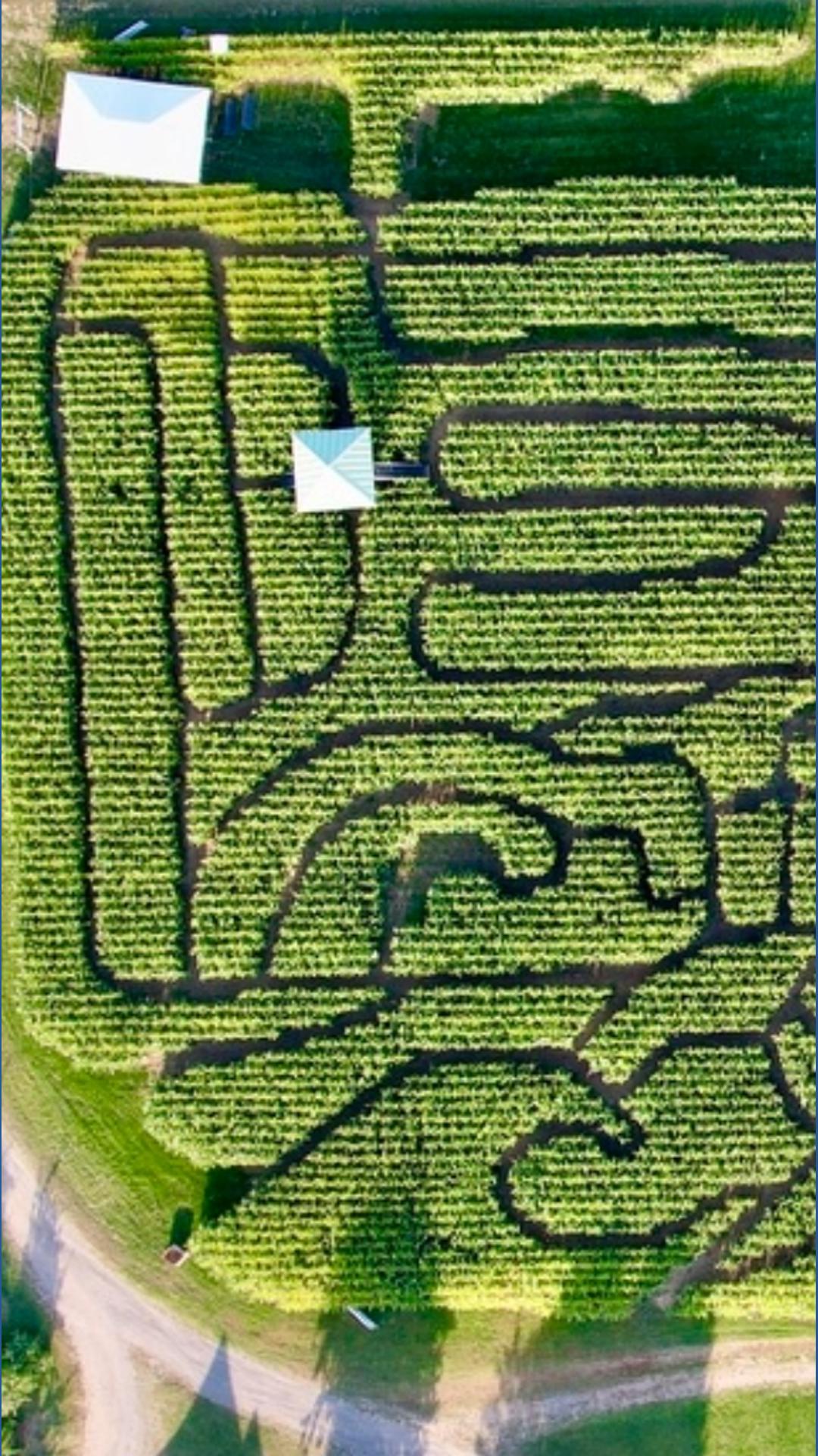 USA Today corn maze rankings names Maine farm best for fourth year in a ...