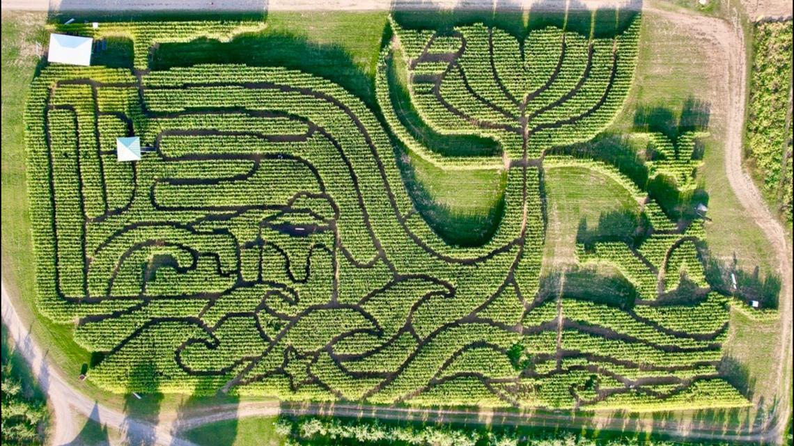 USA Today corn maze rankings names Maine farm best for fourth year in a ...
