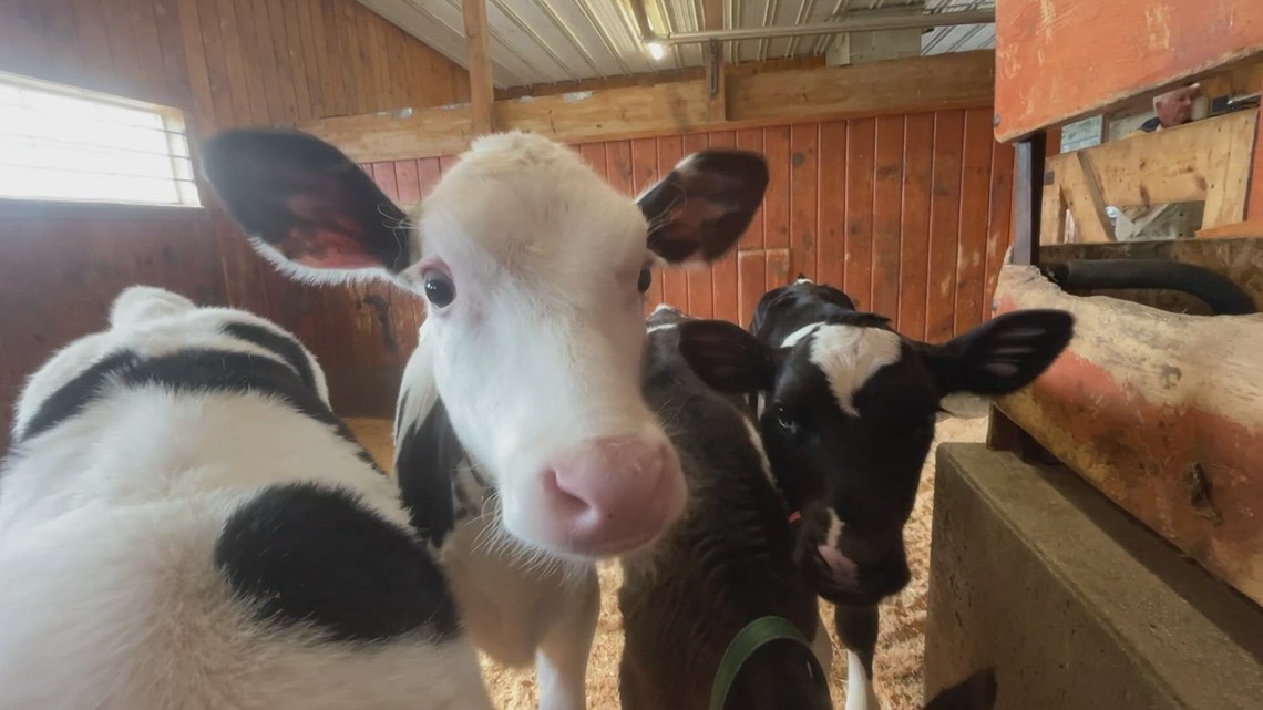 Smiling Hill Farm stands in the way of Maine Turnpike Authority's ...